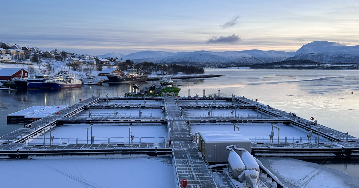 NOFI Ventemerd levert! - Nofi